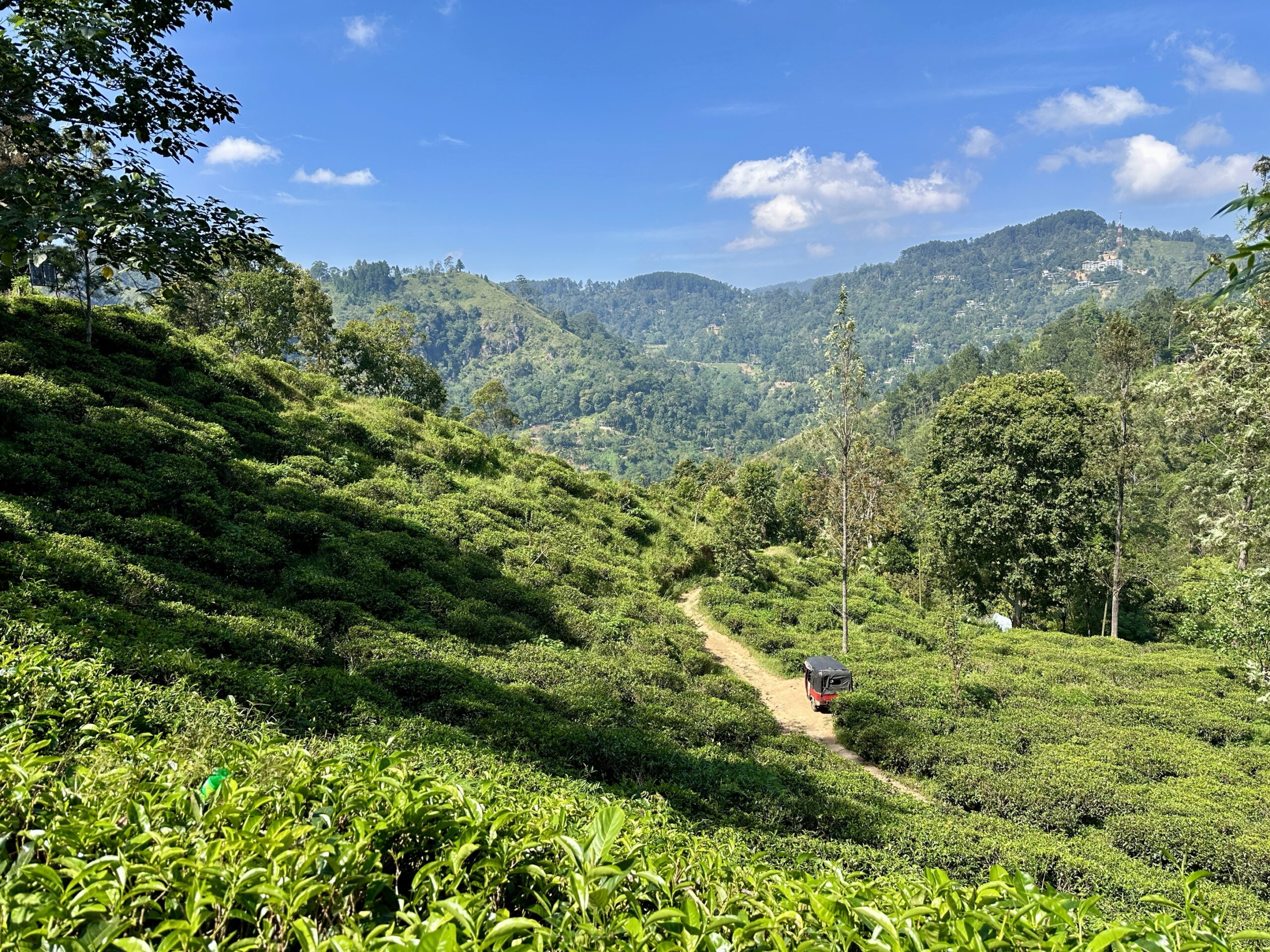 Ella & the scenic train, Sri Lanka – TomsTravels.Net